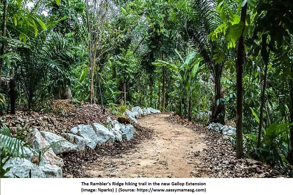 Proposed Development of Gallop Extension, Singapore Botanic Gardens. - LEPL