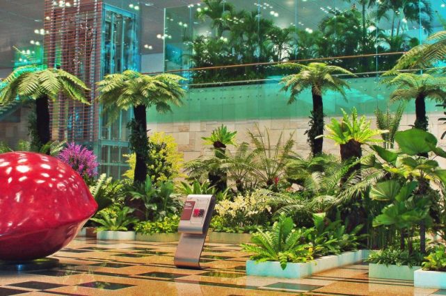 Changi Airport Terminal 3 Internal Landscape - LEPL
