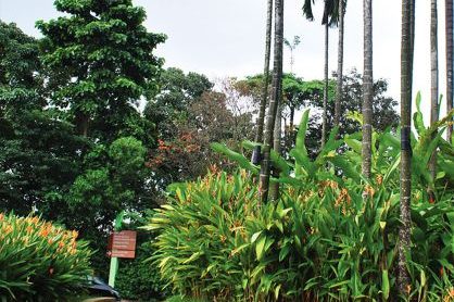 Sentosa Roundabout - LEPL