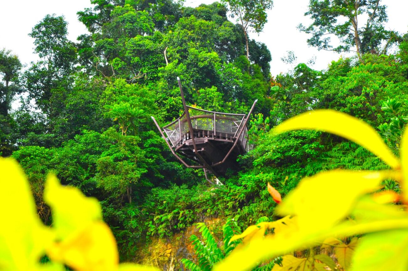 Portfolio Archive - LEPL